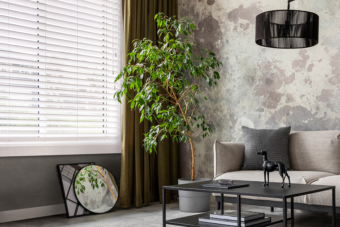 About Us - Experts in Ready-Made and Custom-Made Blinds | NZ Blinds