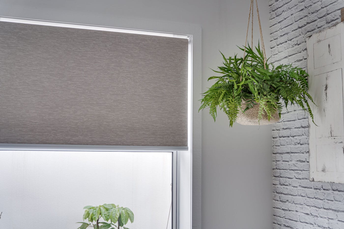 Roller Blinds NZ – Stylish & Custom-Made | NZ Blinds