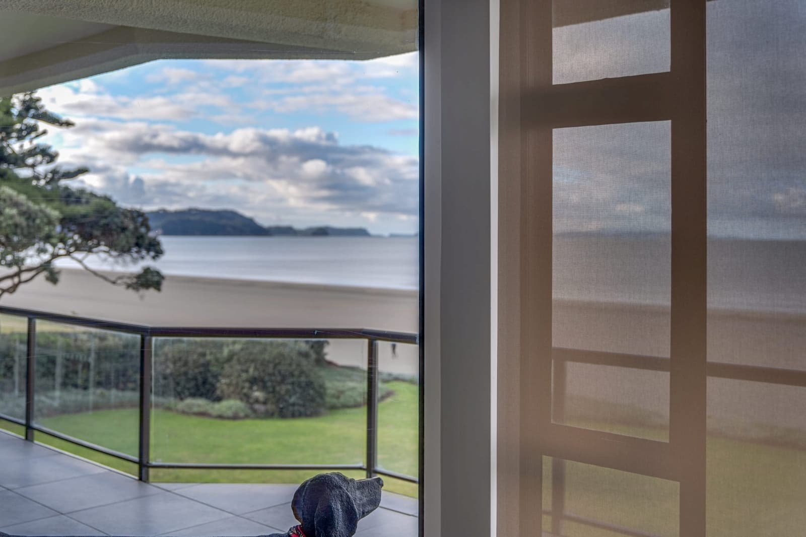 Sunscreen Roller Blinds – UV Protection & Privacy | NZ Blinds